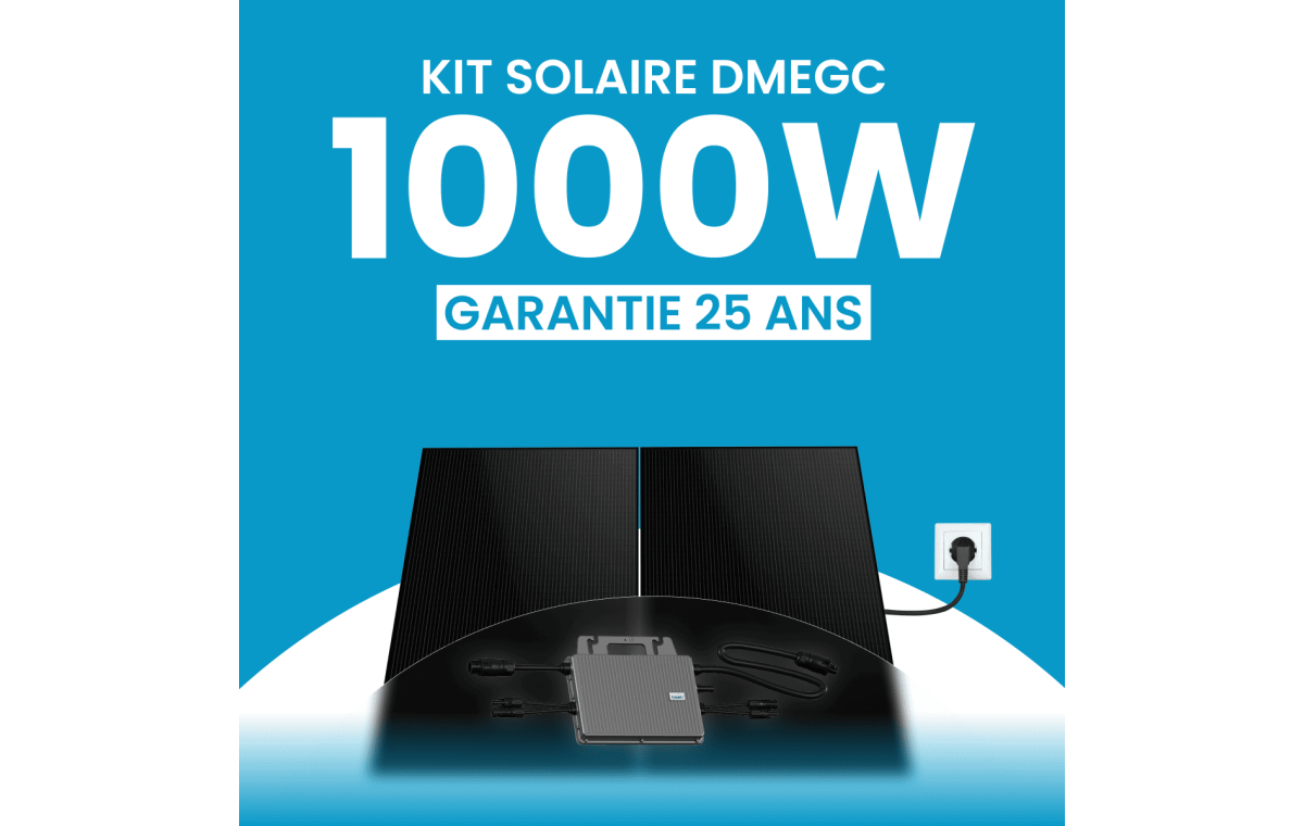 Kit solaire plug & play 1000W DMEGC – Micro-onduleur TSUN MX1000
