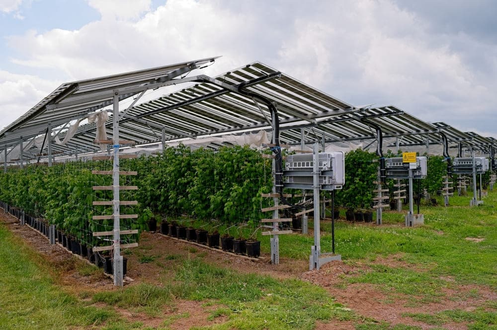Photovoltaïque Agricole : Le Guide Ultime (2026)